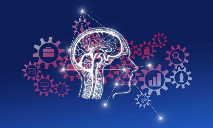 How to improve the interpretability of black box models (machine learning)